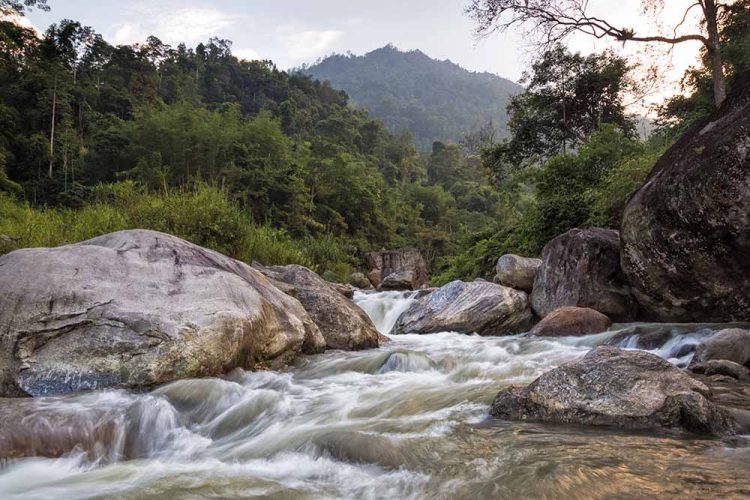 Top Darjeeling Tea Garden Resort - Ging Tea House