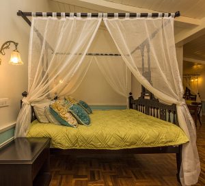 Top Tea Estates in North Bengal - Ging Tea House